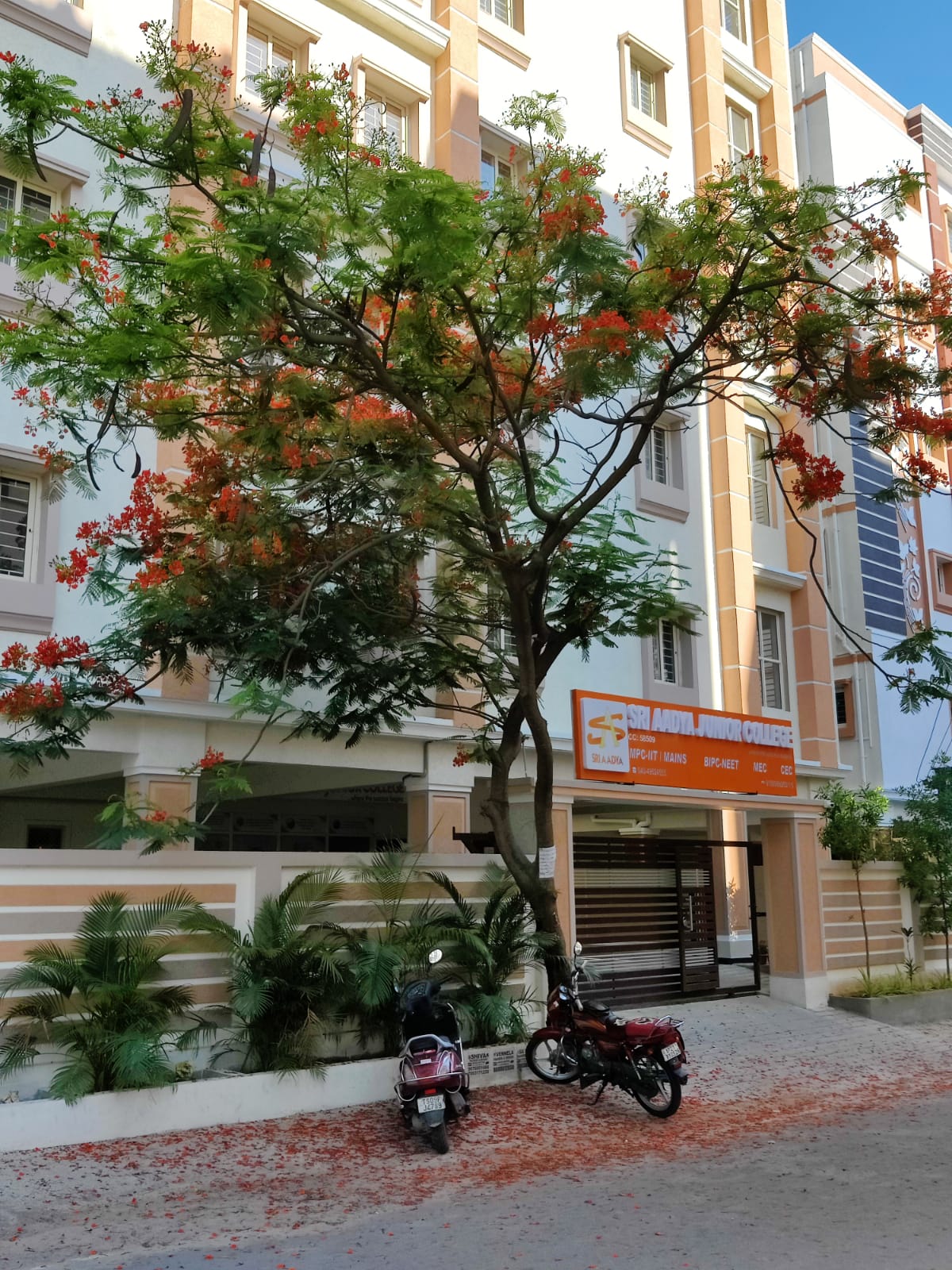 Sri Aadya Junior College – Where the success begins….